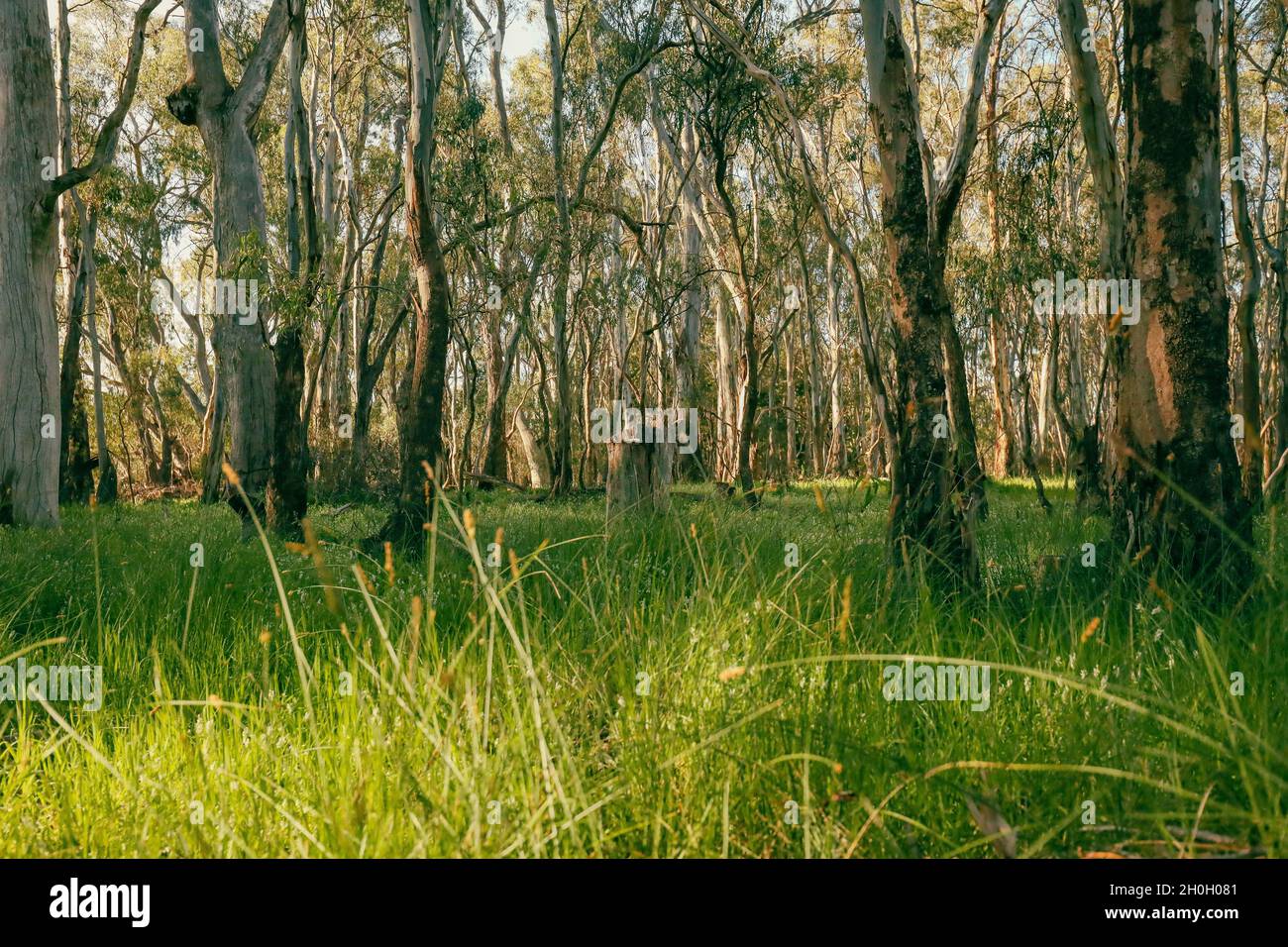 Australian getaway hi-res stock photography and images - Alamy