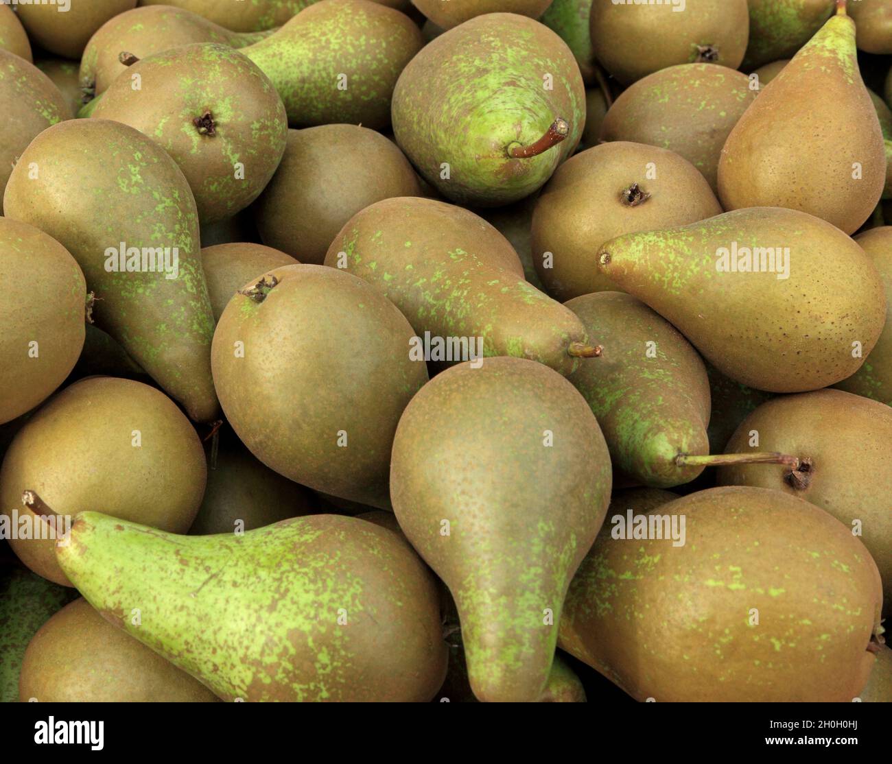 Pear 'Conference', Pyrus communis, farm shop display, healthy eating ...