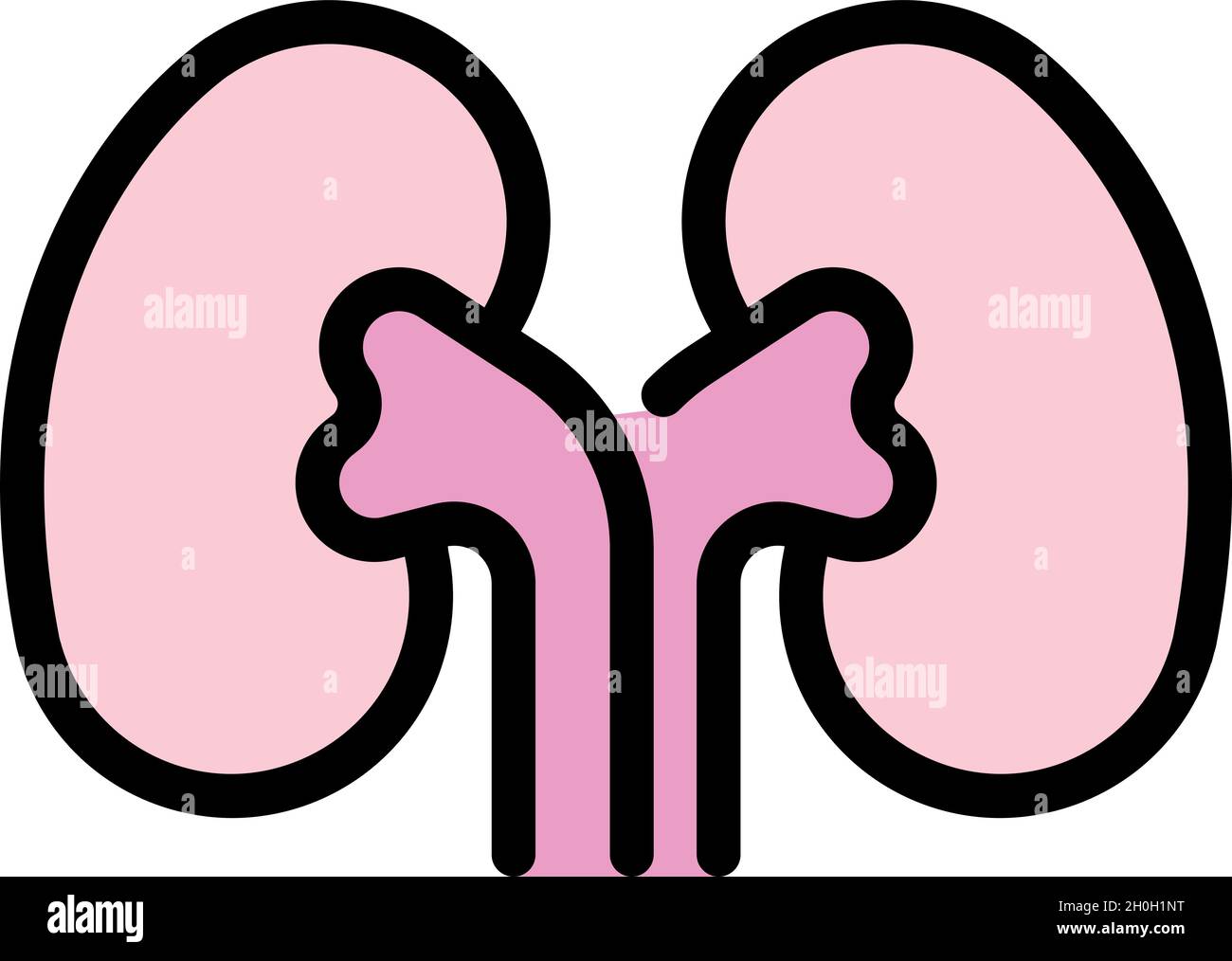 Organ kidney icon. Outline organ kidney vector icon color flat isolated Stock Vector Image & Art ...