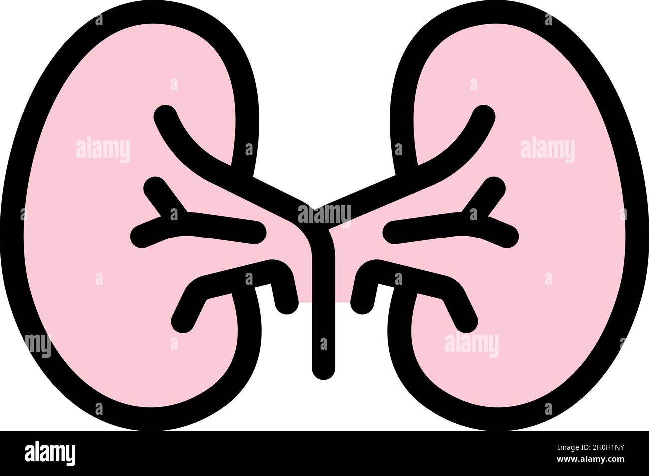 Kid kidney icon. Outline kid kidney vector icon color flat isolated ...