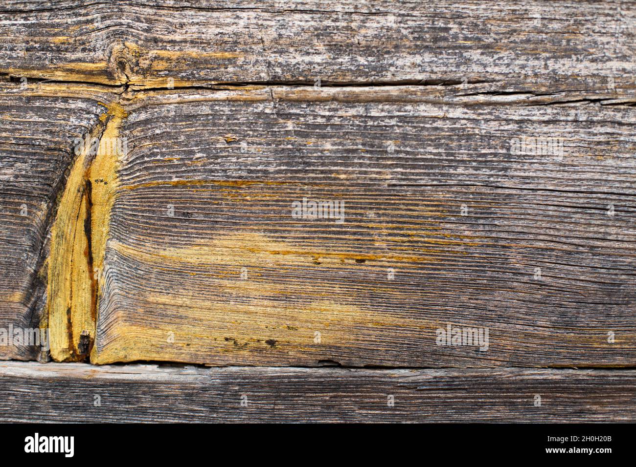 Wooden texture as background. Abstract image of natural material Stock ...