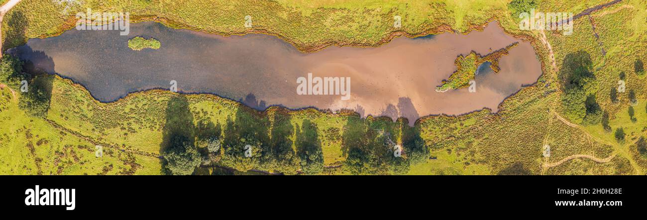 Panorama of Pond in Powderham Park from a drone, Powderham Castle ...