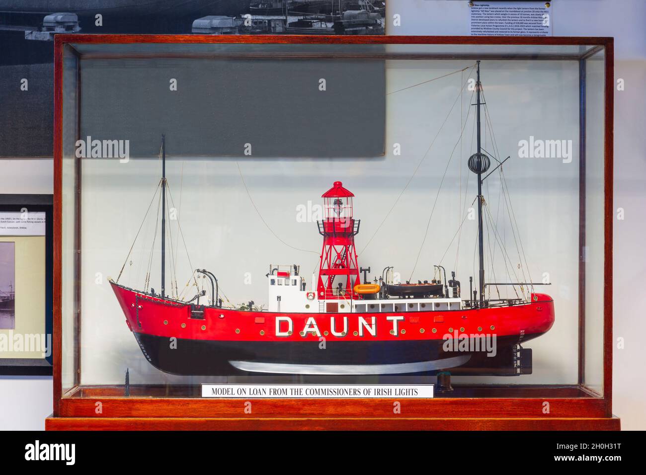 Alf skua hi-res stock photography and images - Alamy