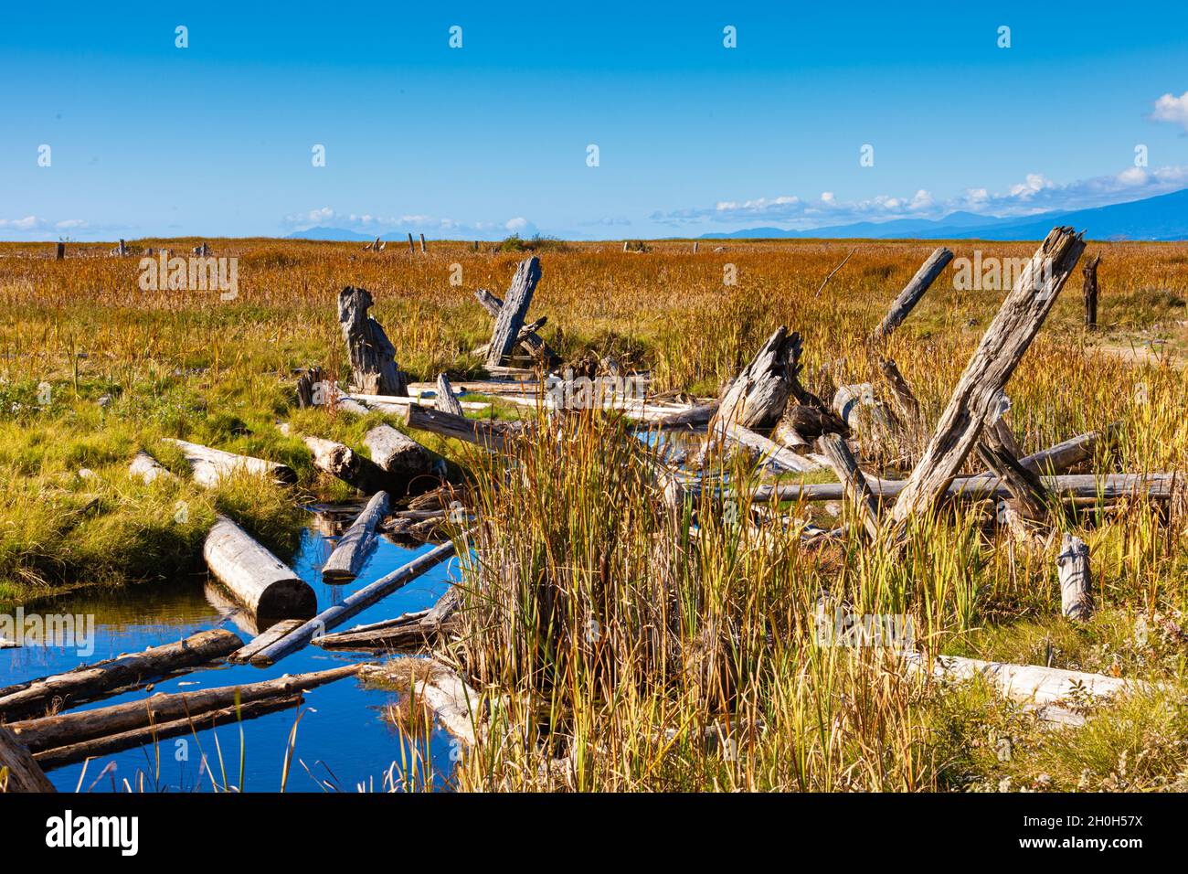 Fraser river delta sediment hi-res stock photography and images - Alamy