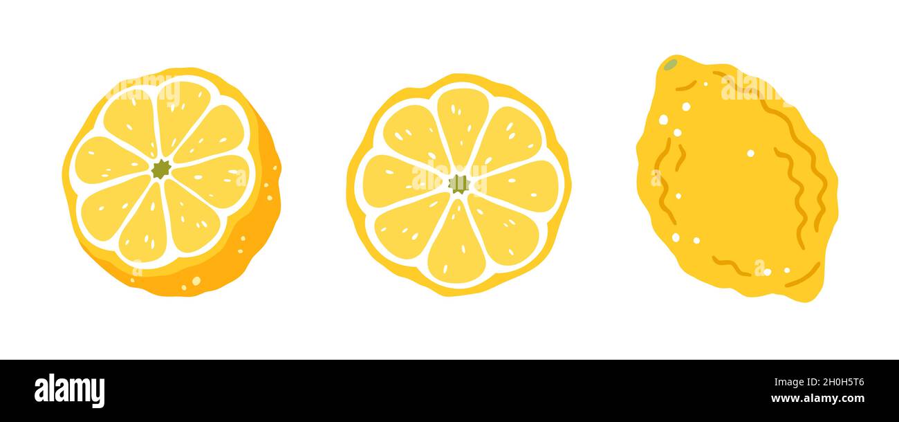 Set of three lemons on a white background. Vector illustration Stock ...