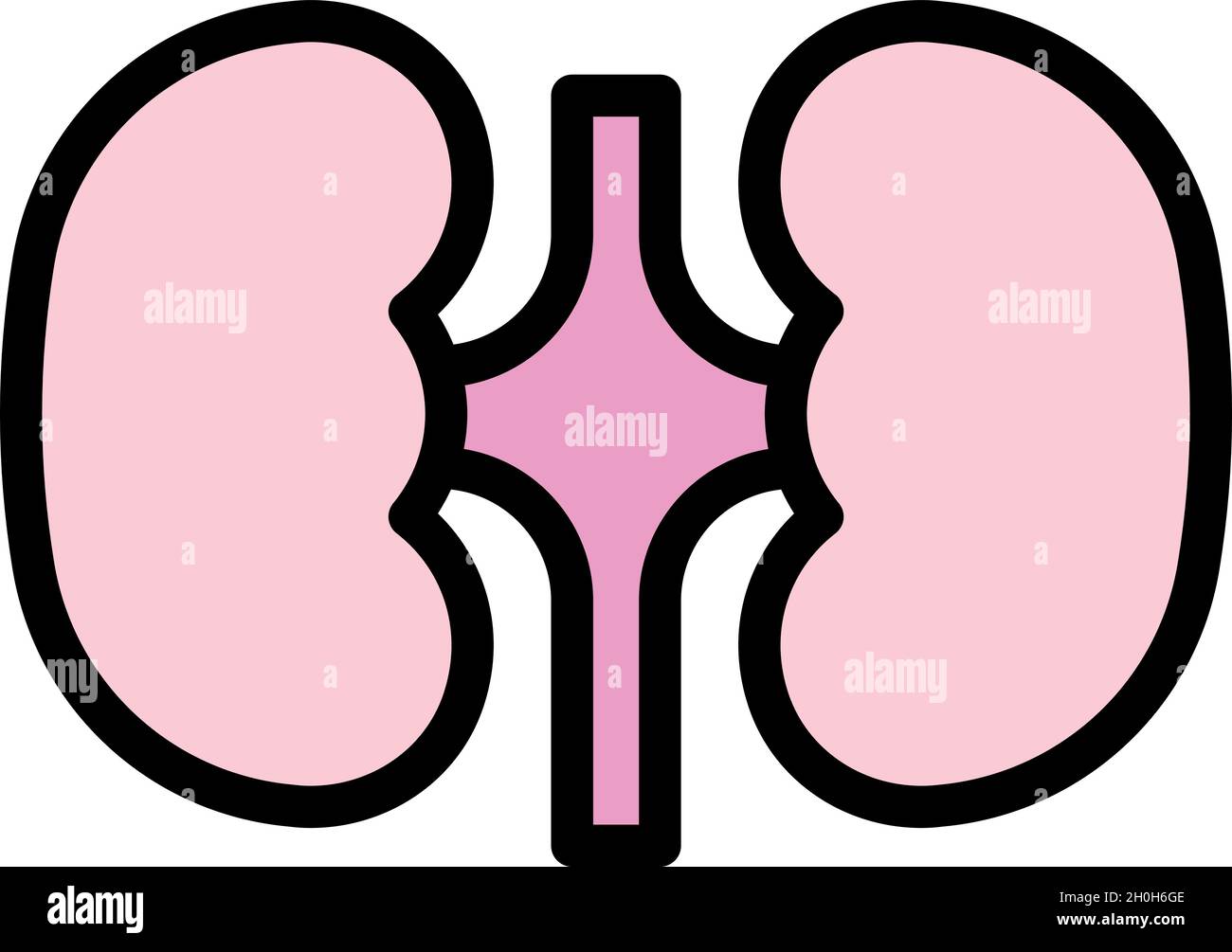 Urology kidney icon. Outline urology kidney vector icon color flat ...