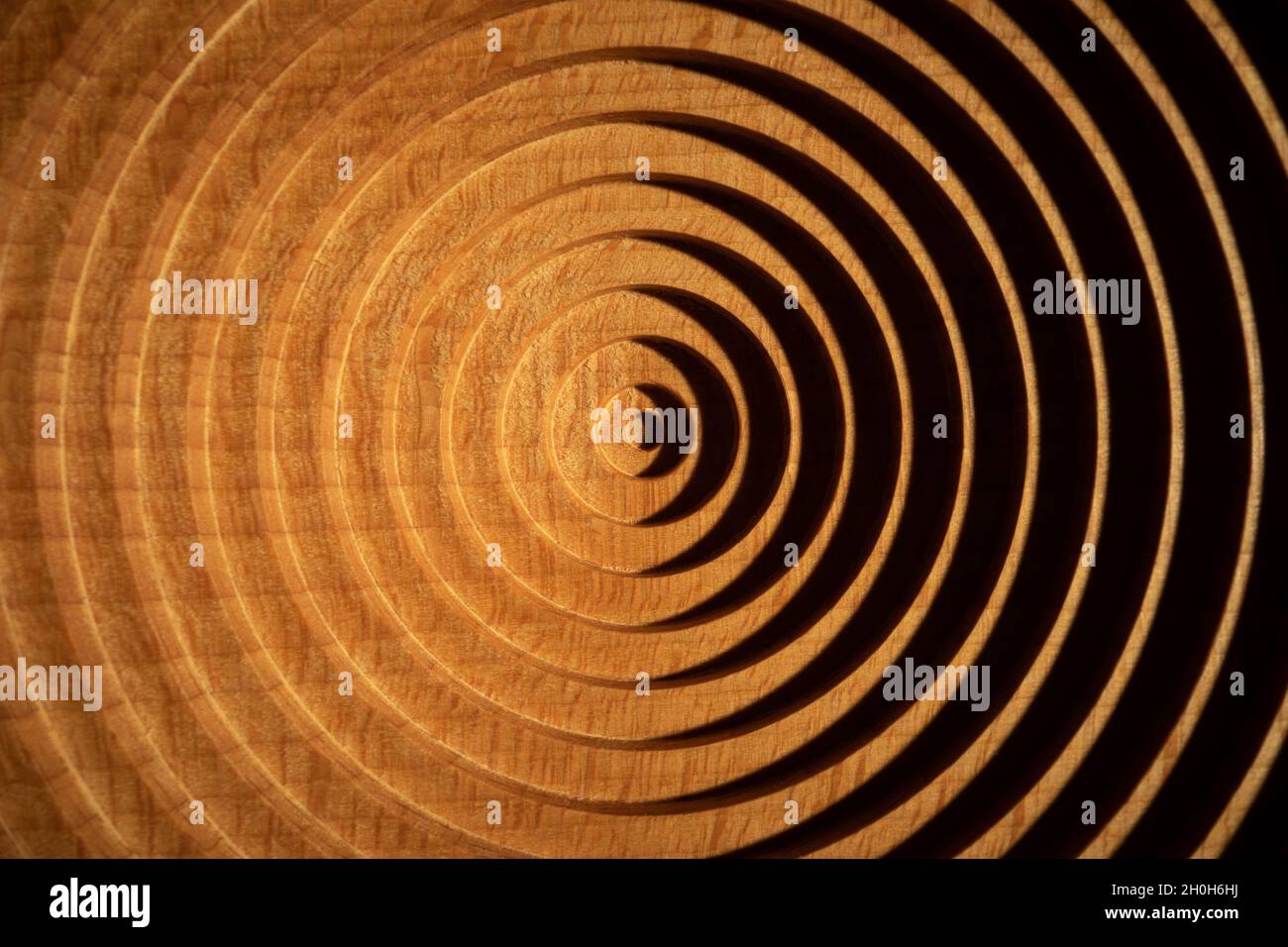 Aerial view of a circular geometric vertical beech wood plate ...