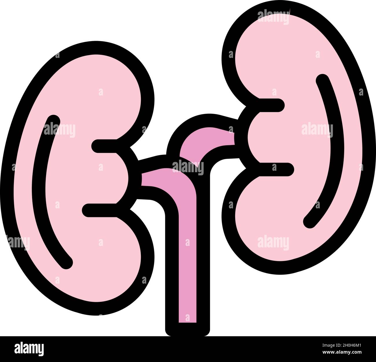 Human kidney icon. Outline human kidney vector icon color flat isolated Stock Vector Image & Art ...