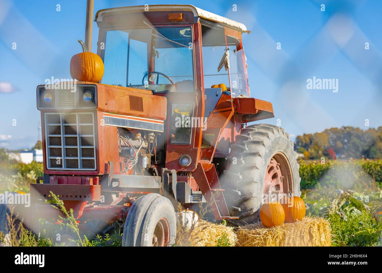 Decorated tractor hi-res stock photography and images - Alamy