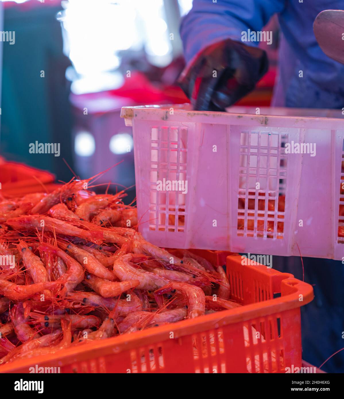Shrimp prawns raw colorful hi-res stock photography and images - Alamy
