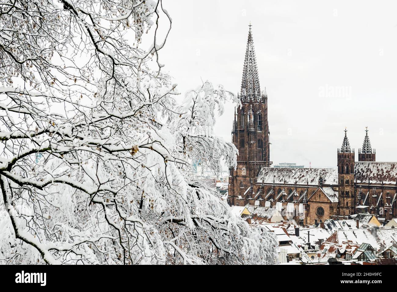 Winter atmosphere with snow, Freiburg Cathedral, Freiburg im Breisgau ...