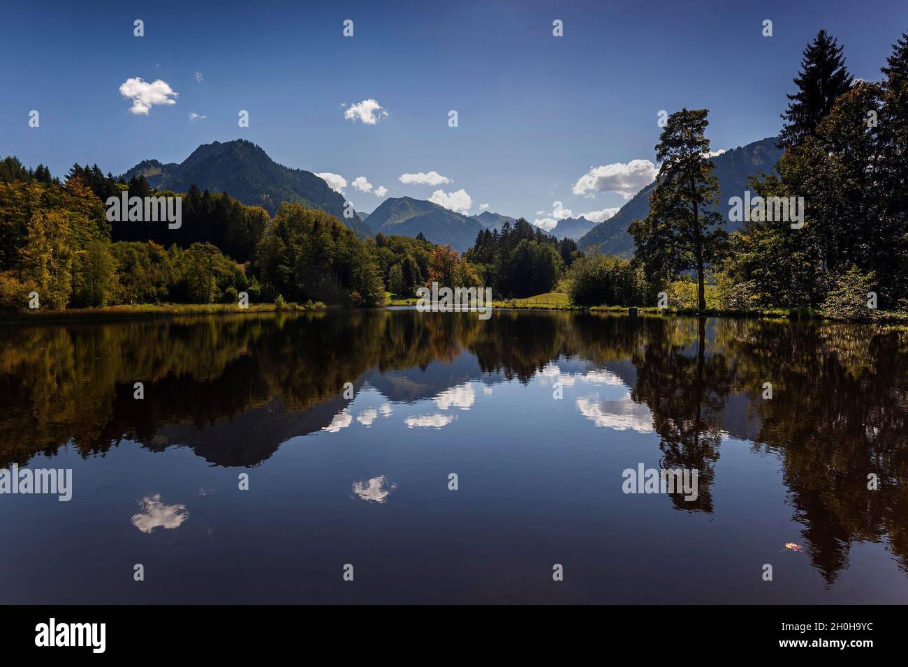 Moor, marsh pond, water reflection, behind Allgaeuer Alps, Oberstdorf ...