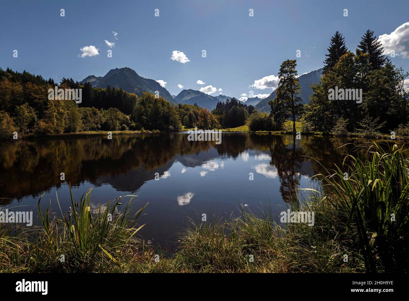 Moor, marsh pond, water reflection, behind Allgaeuer Alps, Oberstdorf ...