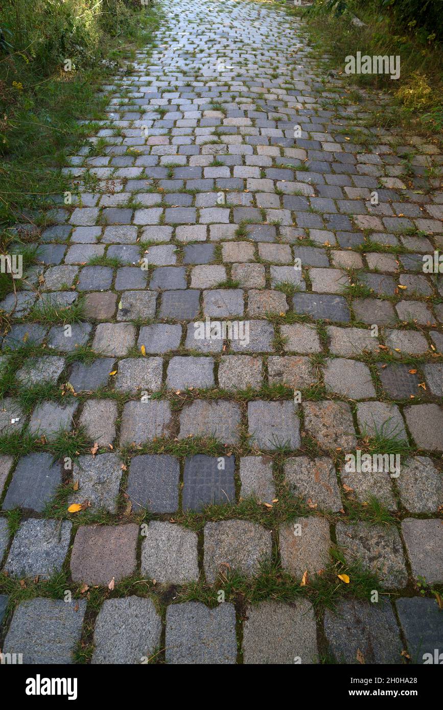 Nazi party 1933 nuremberg nazi hi-res stock photography and images - Alamy