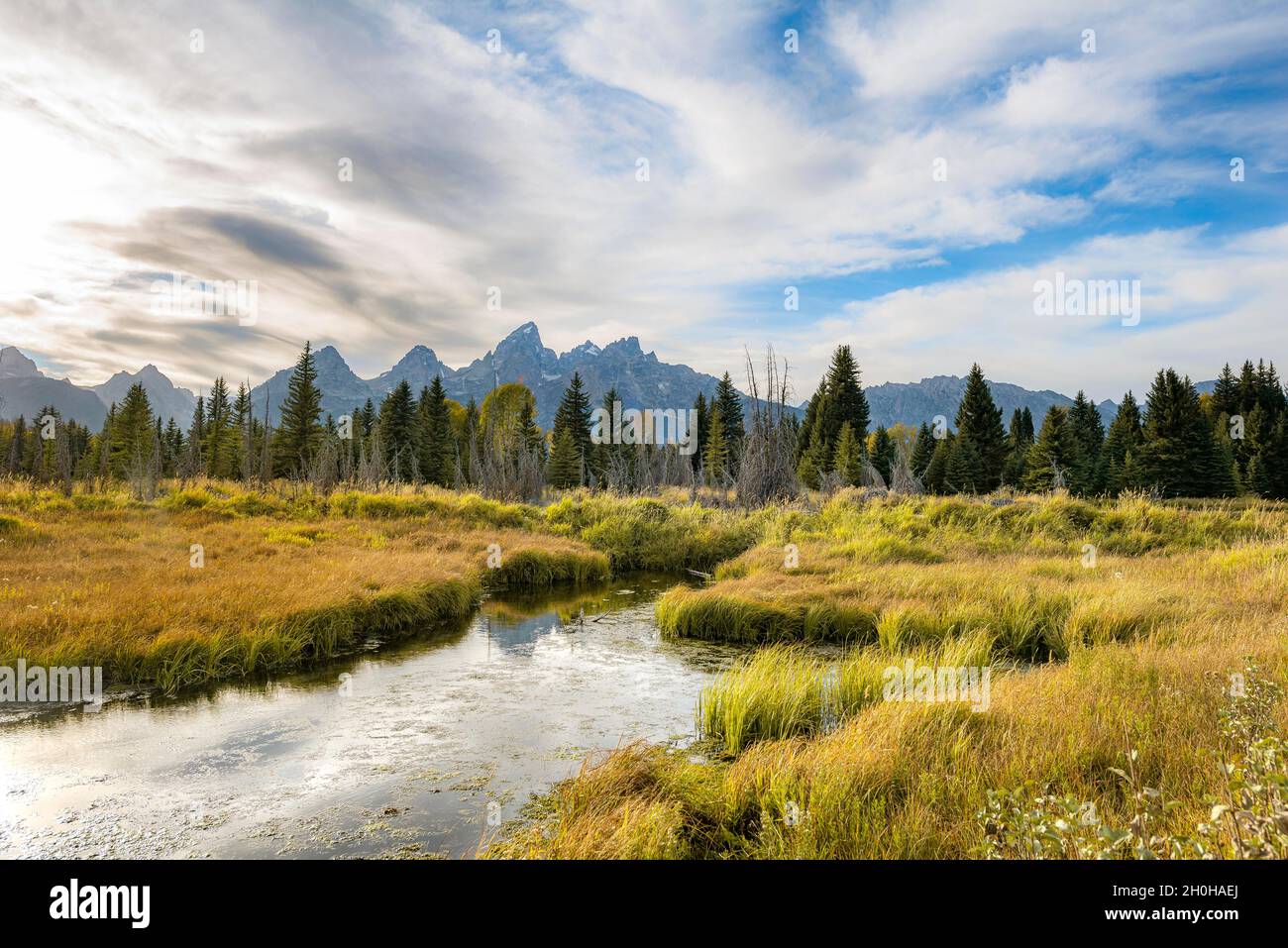 Grand Teton Range mountain range, autumn vegetation, Schwabacher ...