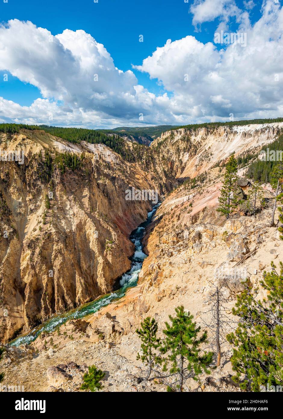 Yellowstone River flows through Gorge, Grand Canyon of the Yellowstone ...