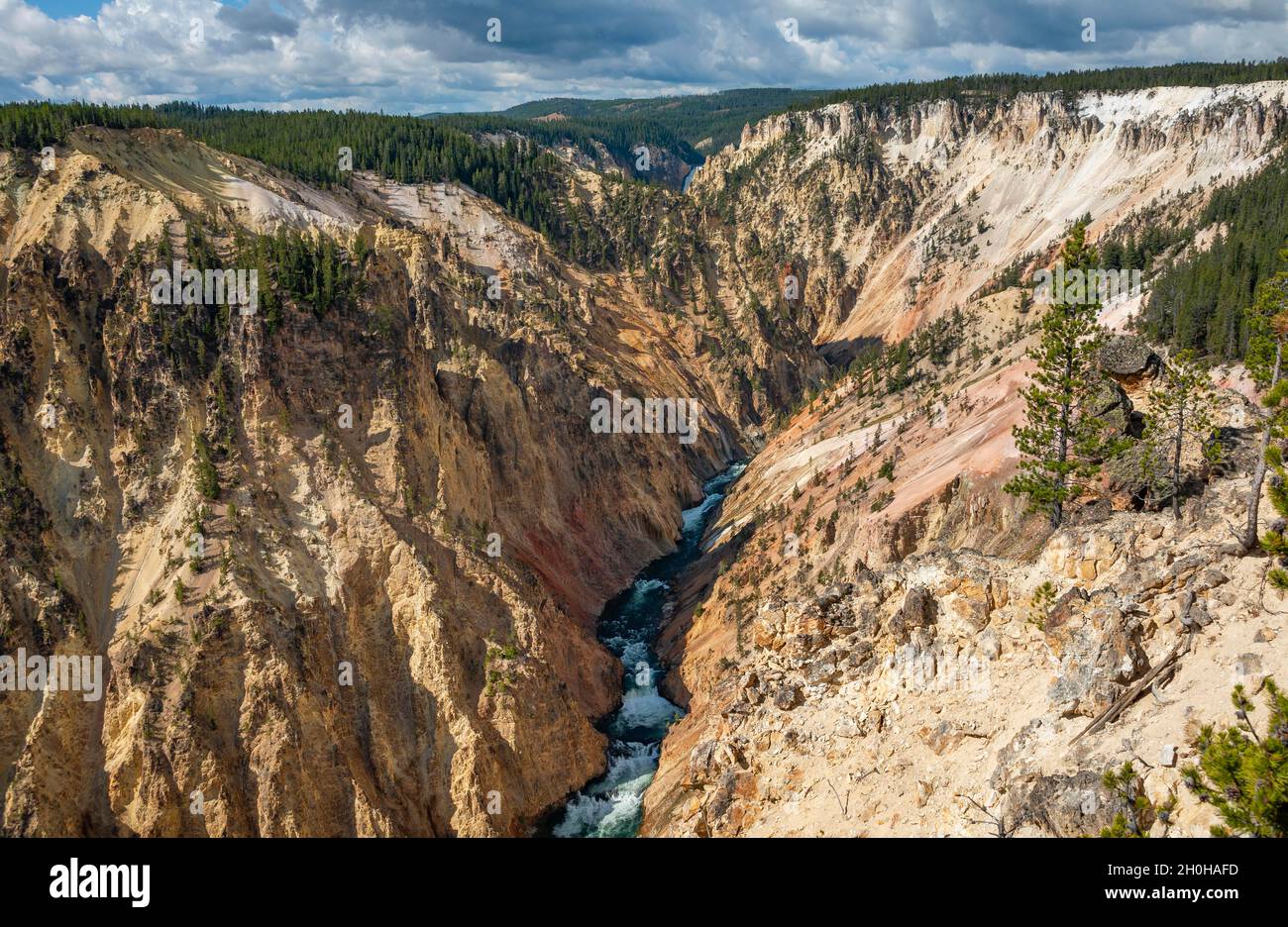 Yellowstone River flows through Gorge, Grand Canyon of the Yellowstone ...