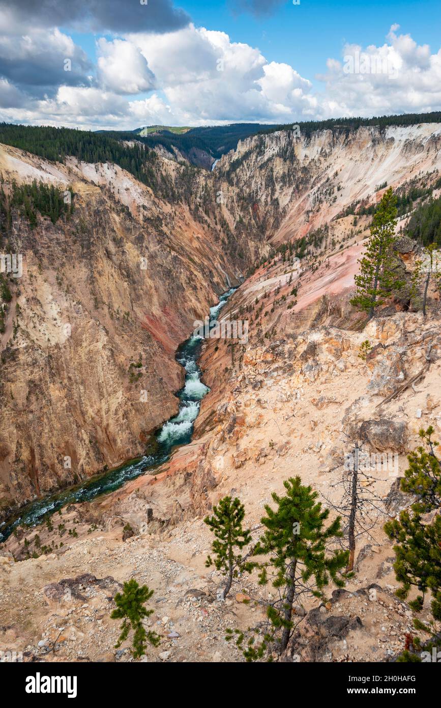 Yellowstone River flows through Gorge, Grand Canyon of the Yellowstone ...