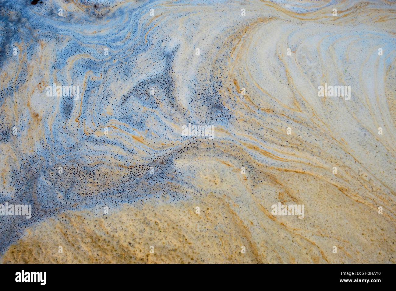 Foam formation, structure, background image, Usedom Island, Germany ...
