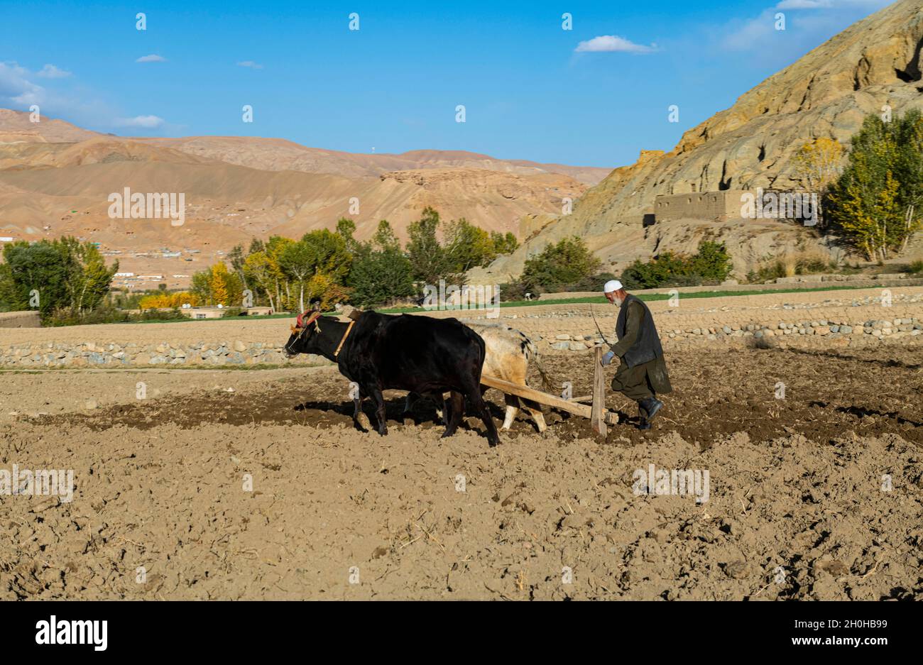 Basic rural fieldwork, Bamyan, Afghanistan Stock Photo - Alamy