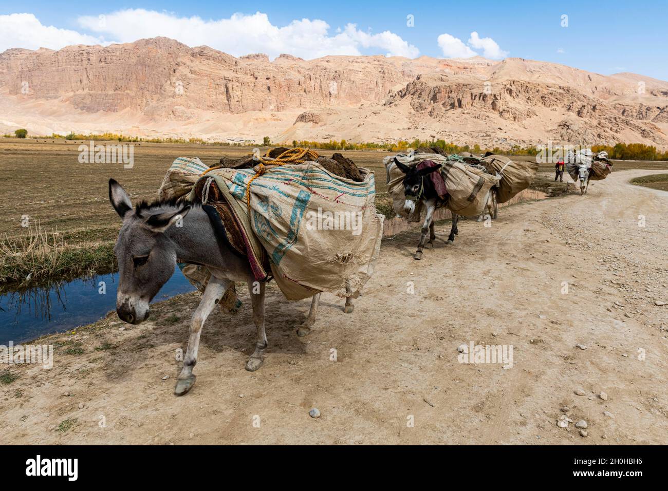 Donkey caravan, Yakawlang province, Bamyan, Afghanistan Stock Photo - Alamy