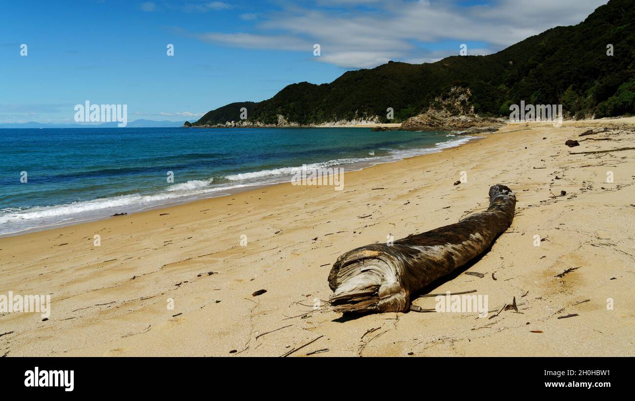 Mutton Cove looking south in Abel Tasman National Park, New Zealand ...