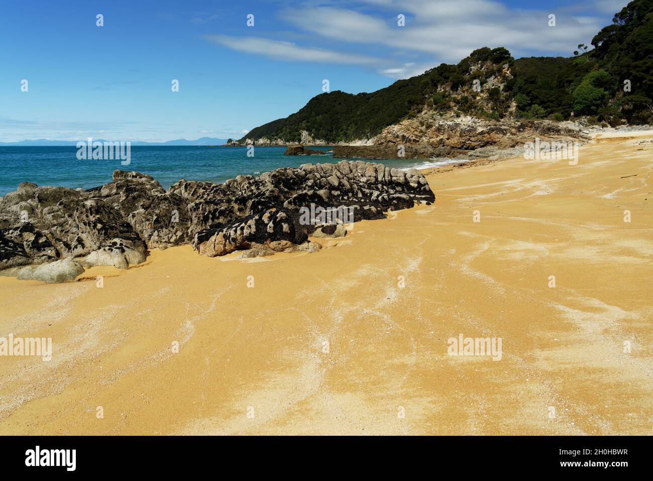 Mutton bay hi-res stock photography and images - Alamy