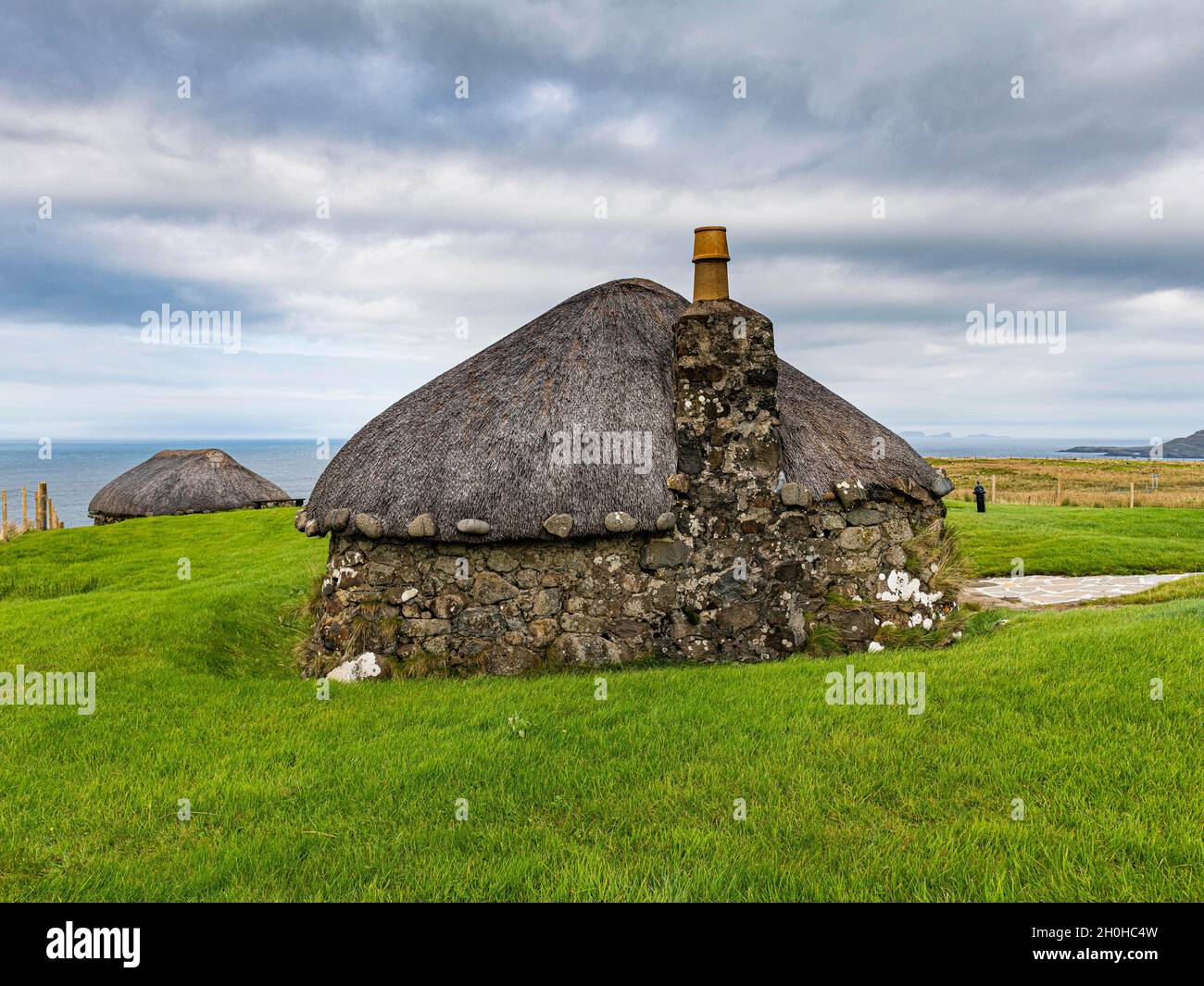 Kingdom of life british museum hi-res stock photography and images - Alamy