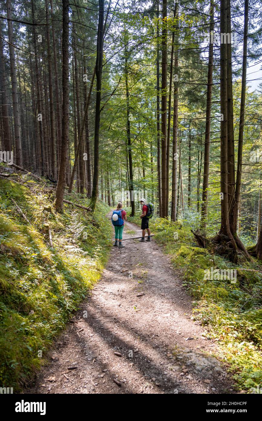 Two hikers on a forest path, Berchtesgaden Alps, Berchtesgadener Land ...