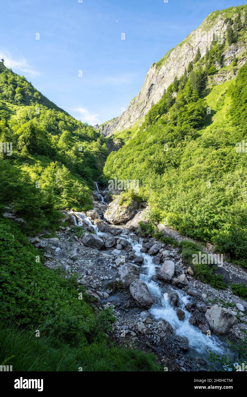 Mountain stream, river in a valley, Heilbronner Weg, Allgaeu Alps ...