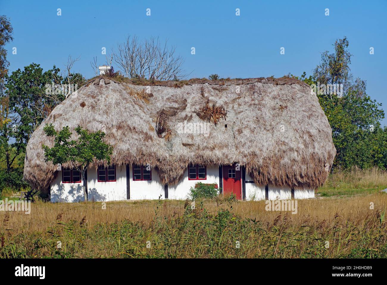 Houses with roofs made of seaweed, Laeso Island, Kattegat, North ...