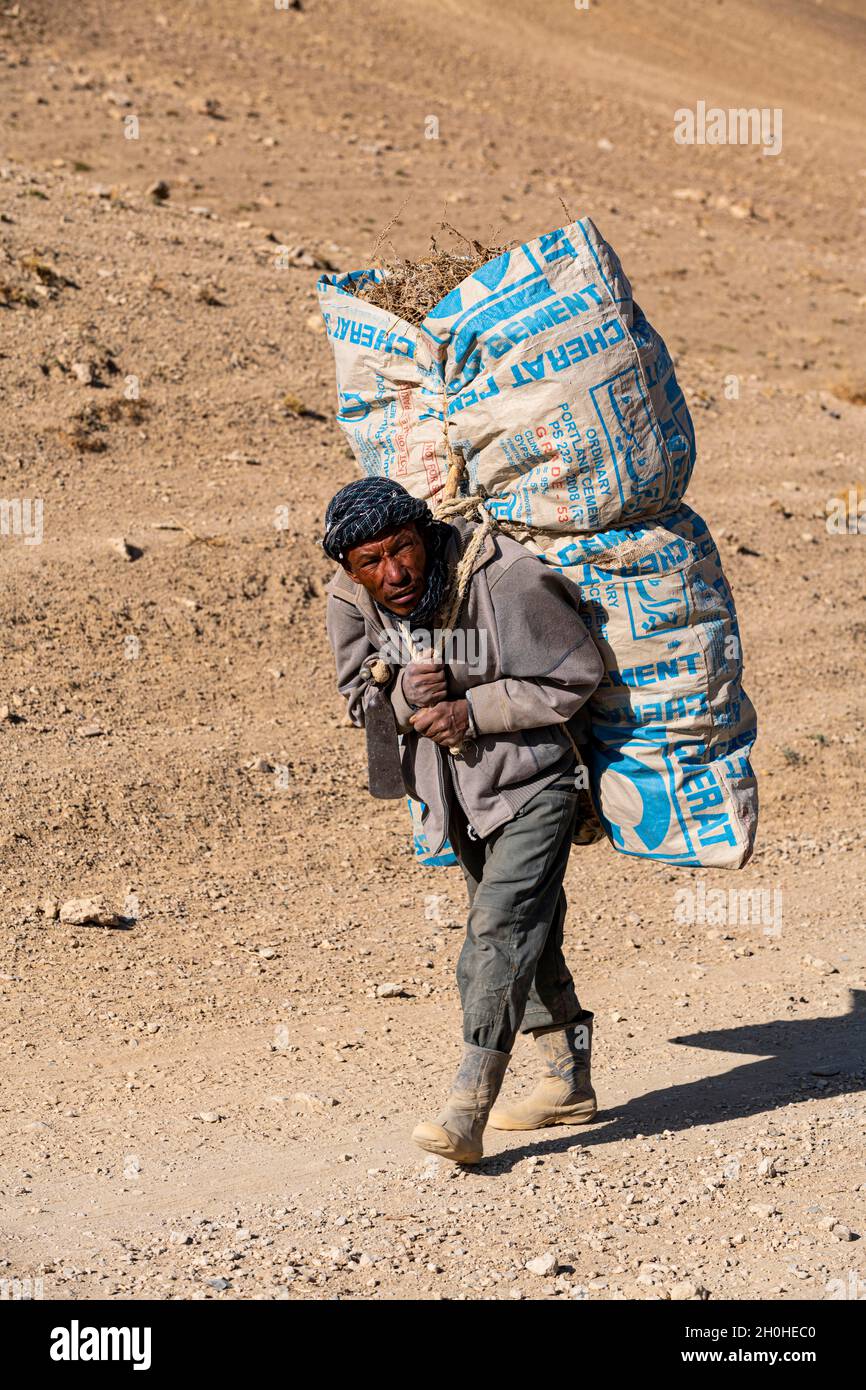 Back carry hi-res stock photography and images - Alamy