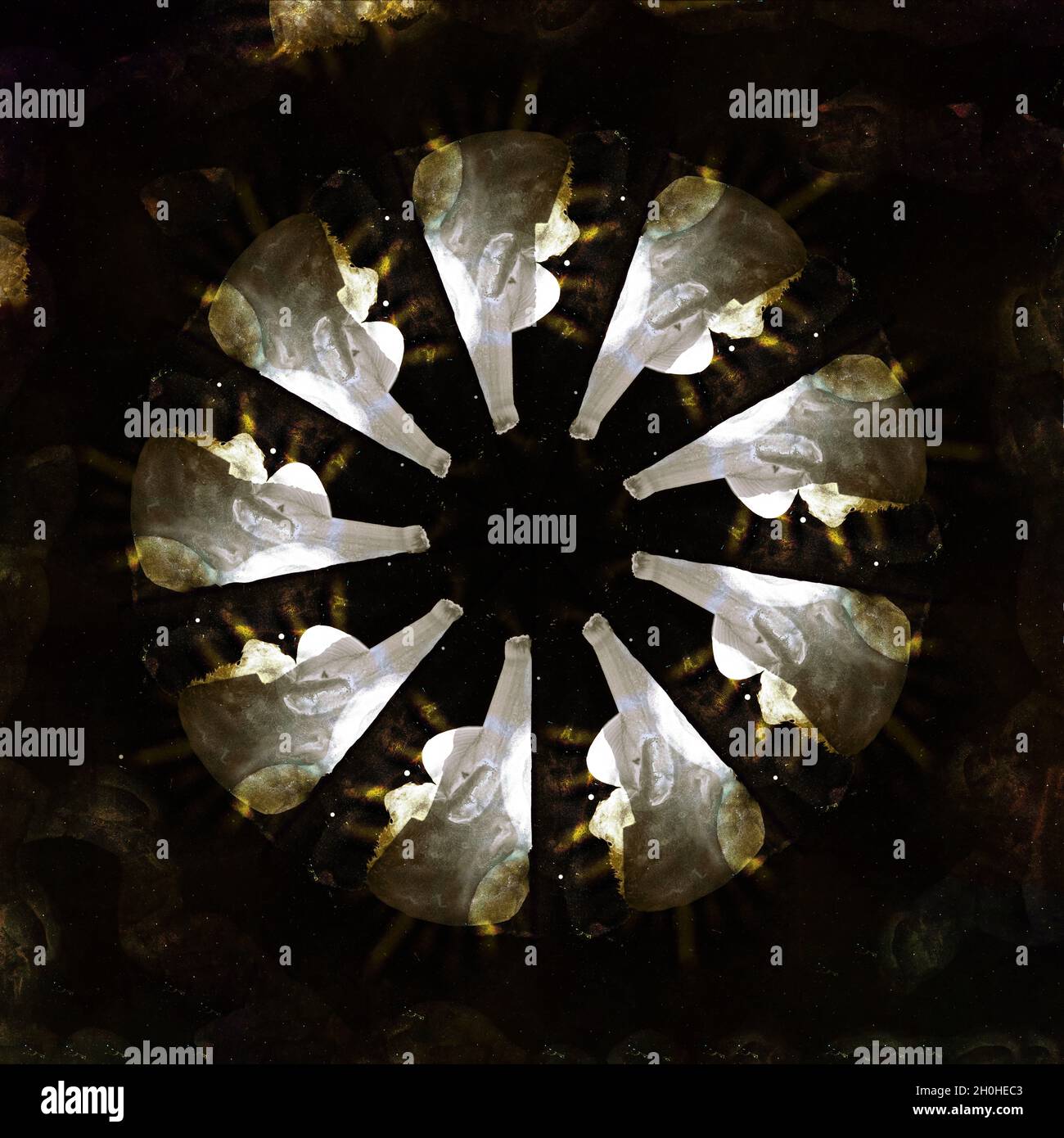 STP Screen Transfer Process - 329 - WDVMM - 765 - In The Weaping Closet ...