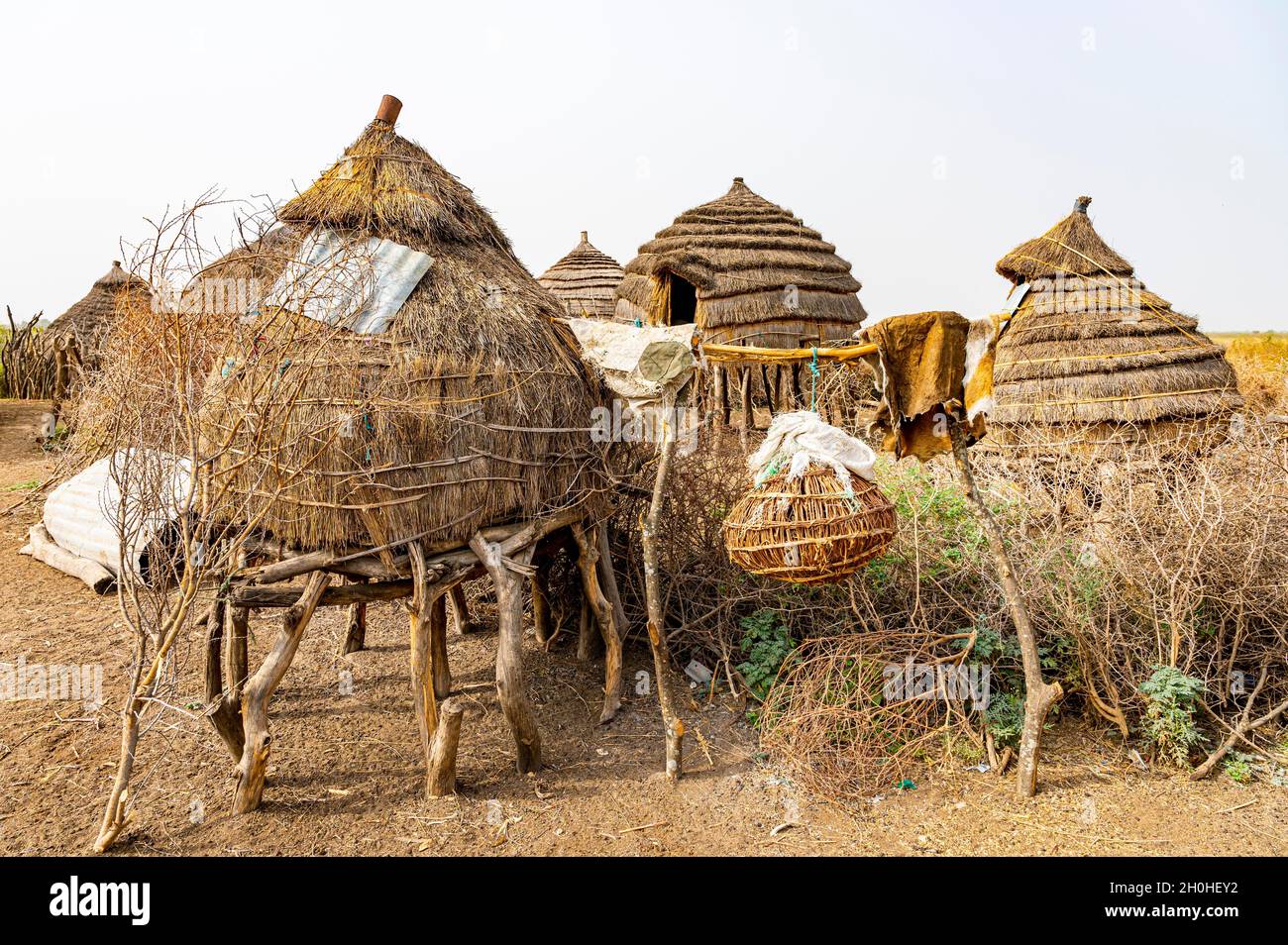 Traditional huts of the Jiye tribe, Eastern Equatoria State, South ...