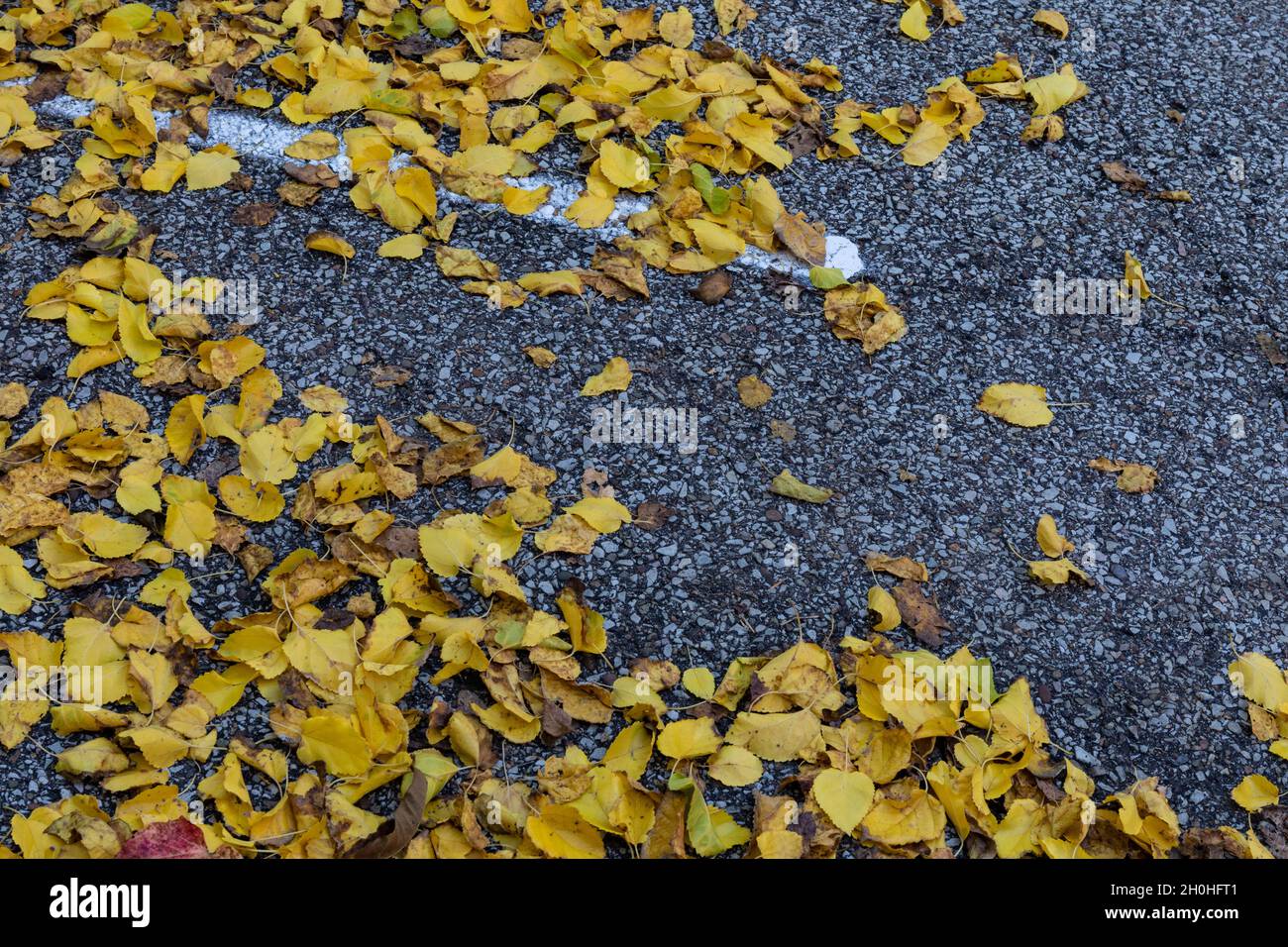 Patched asphalt road hi-res stock photography and images - Alamy