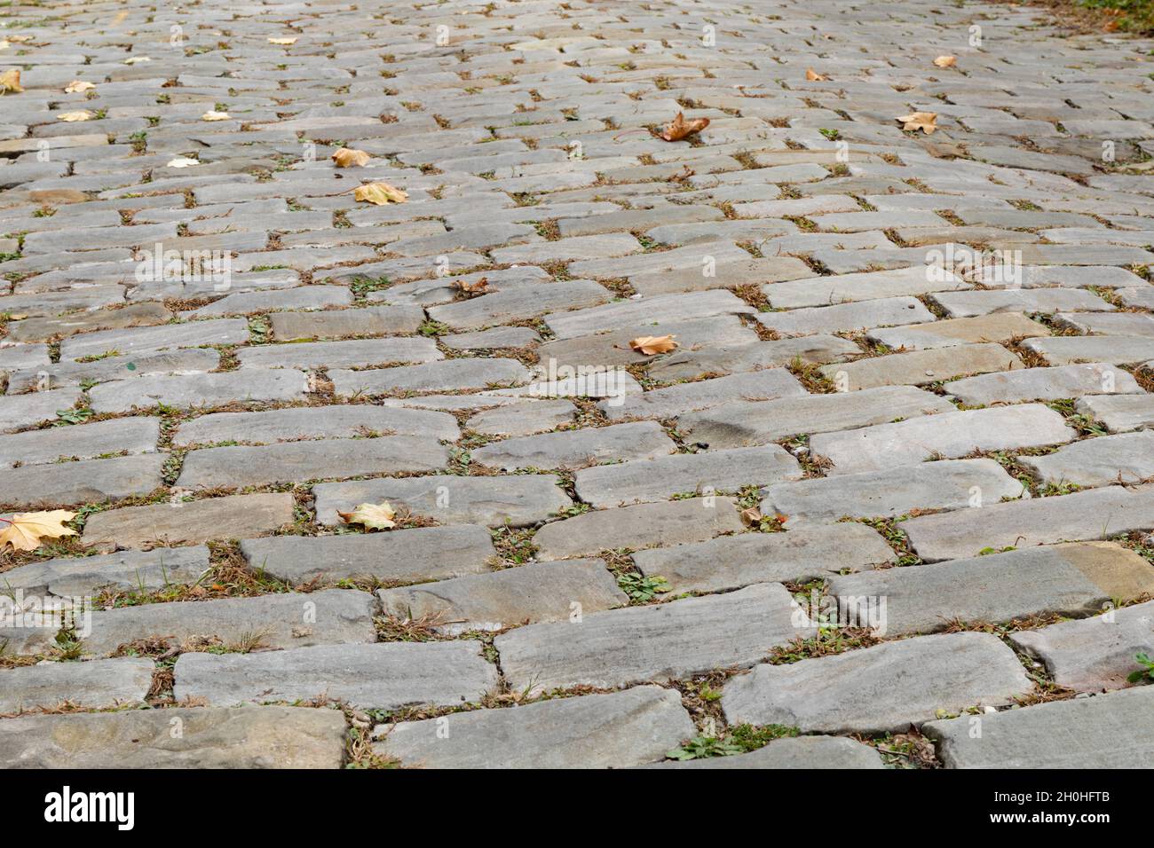 Close view of road surface of rough stone, fall leaves, horizontal ...