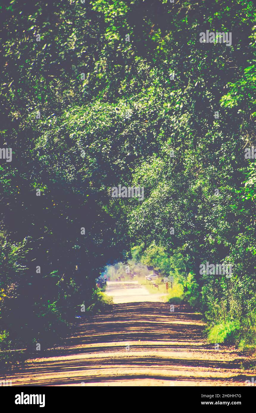 Old dirt road hi-res stock photography and images - Alamy