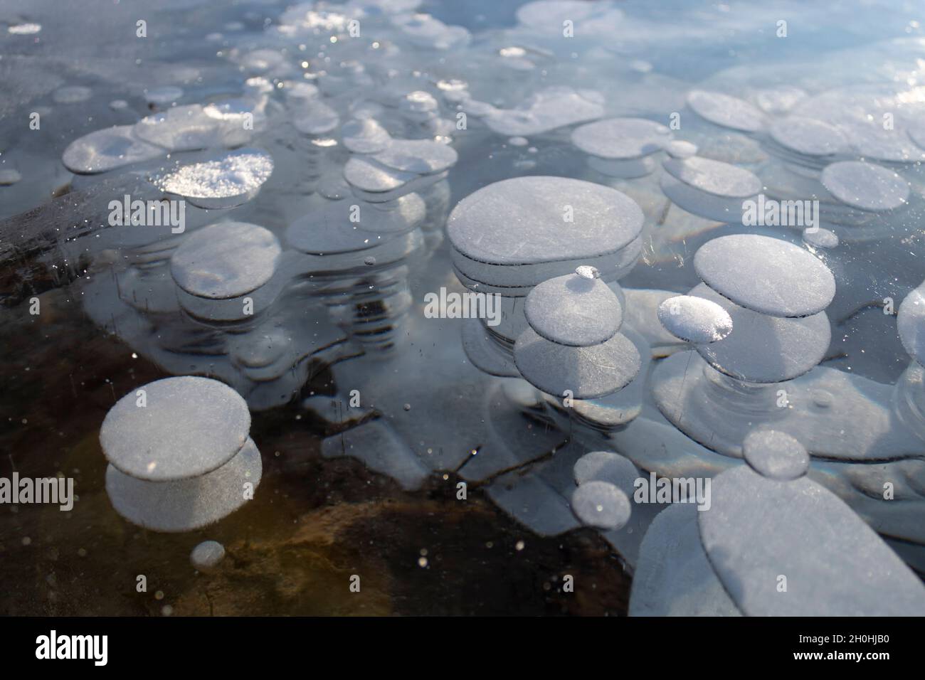 Methane Gas Bubbles Trapped under frozen water in Abraham Lake Nordegg ...