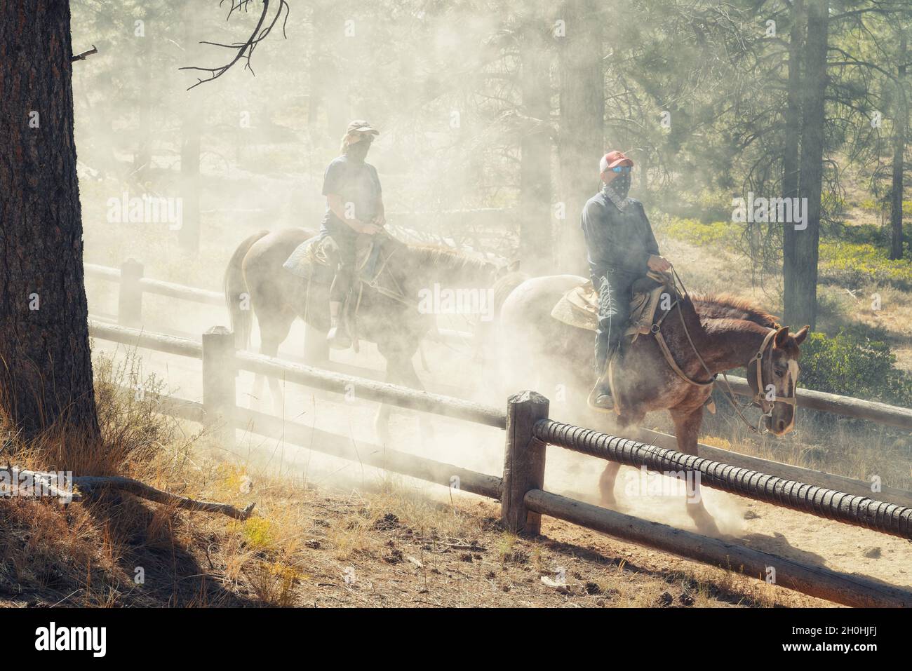 Bryce Canyon, Utah/USA - October 12, 2020 Horseback riding tour in ...