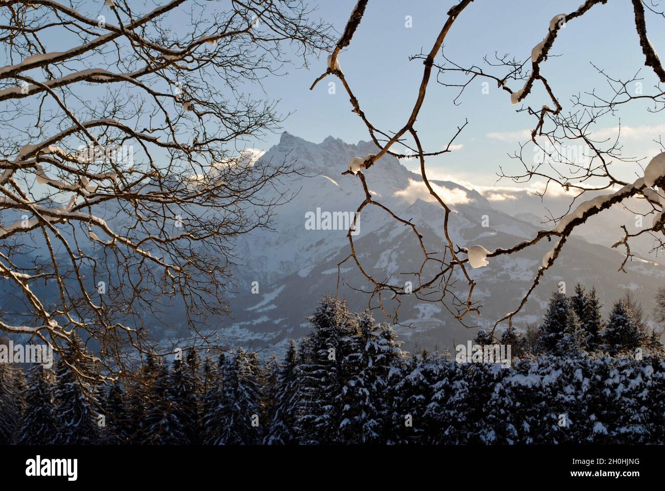 Winter in Villars-sur-Ollon in Switzerland Stock Photo - Alamy