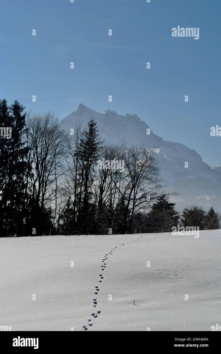 Villars sur ollon winter hi-res stock photography and images - Alamy