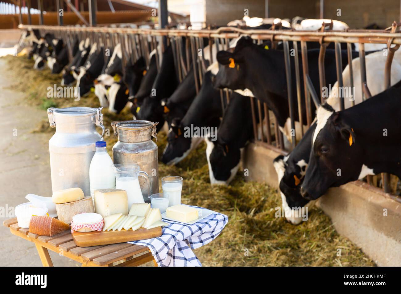 Image of dairy products on the farm Stock Photo - Alamy
