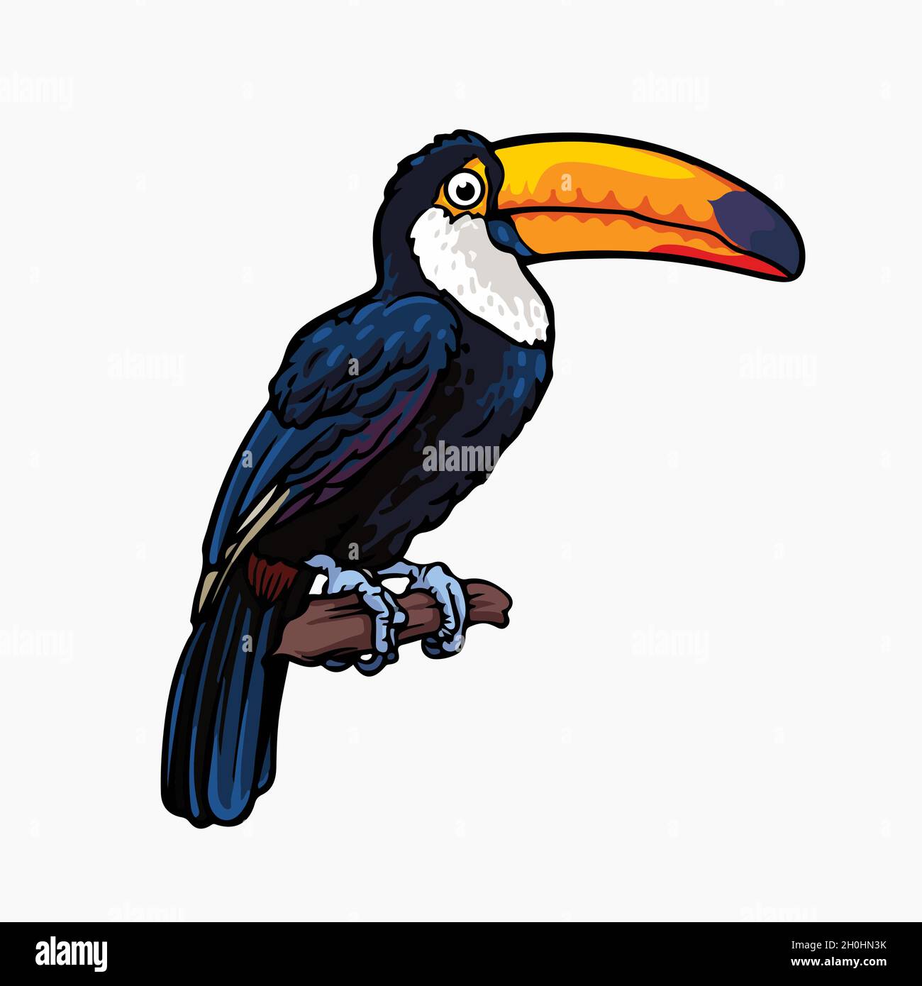 Toucan tropical bird hand Cut Out Stock Images & Pictures - Alamy