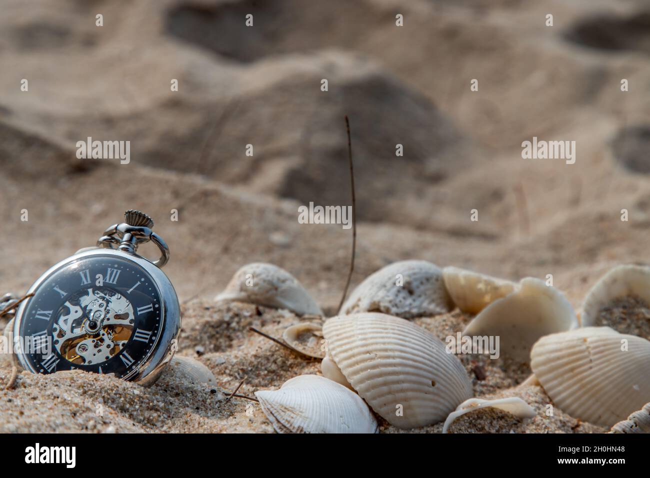 Antique pocket watch and shells in sand on the beach and copy space ...