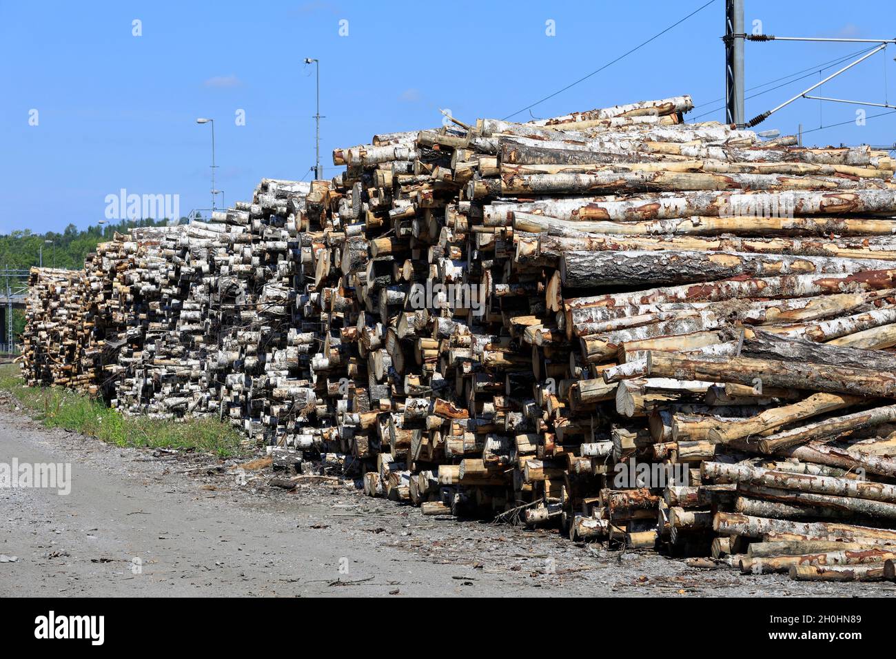 Birch timber logs piled up at Salo Railway Station, waiting for ...