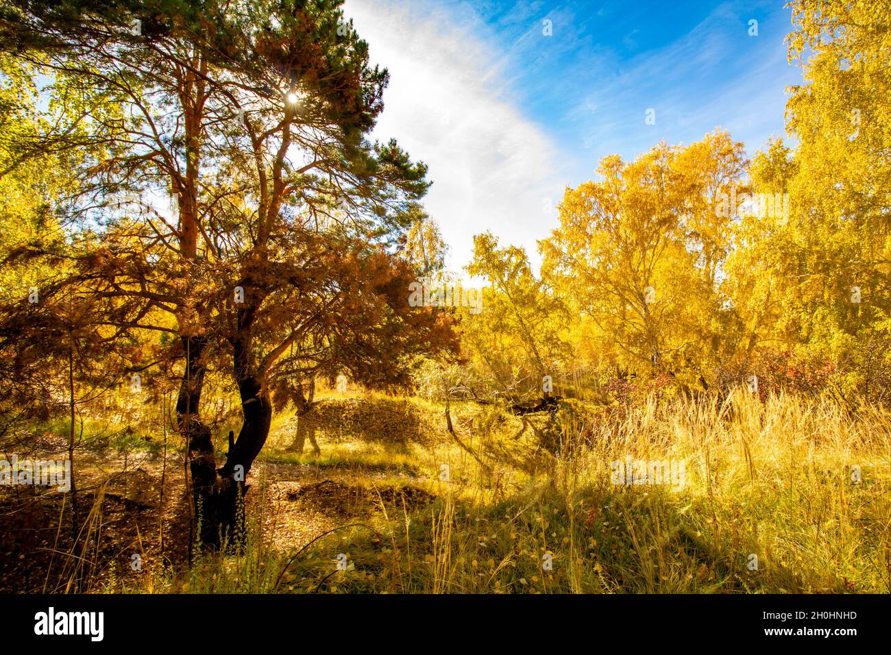 Hilly area in the morning hi-res stock photography and images - Alamy