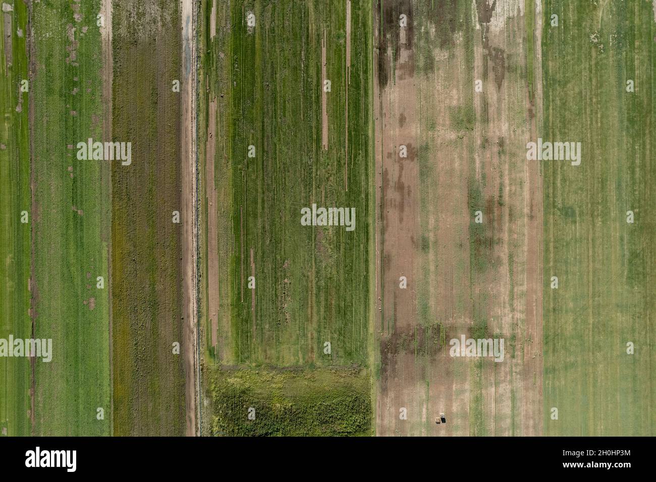 Looking straight down onto a lawn growing farm from a high drone aspect ...