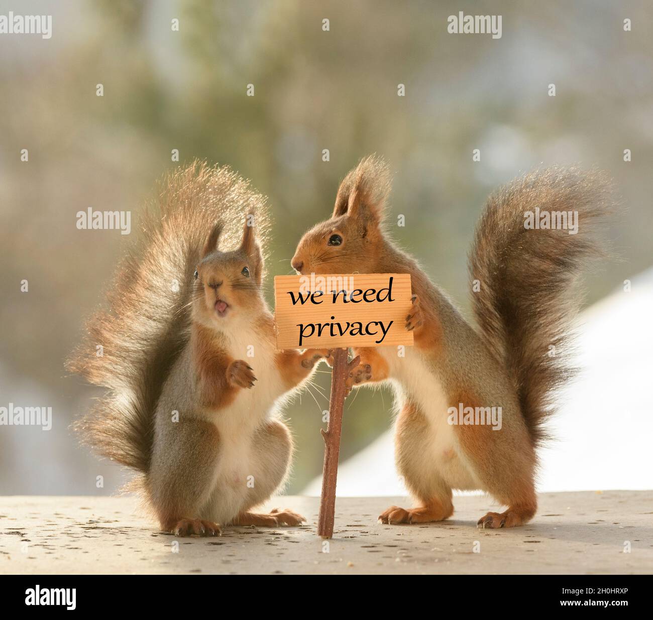 No cutting sign hi-res stock photography and images - Alamy