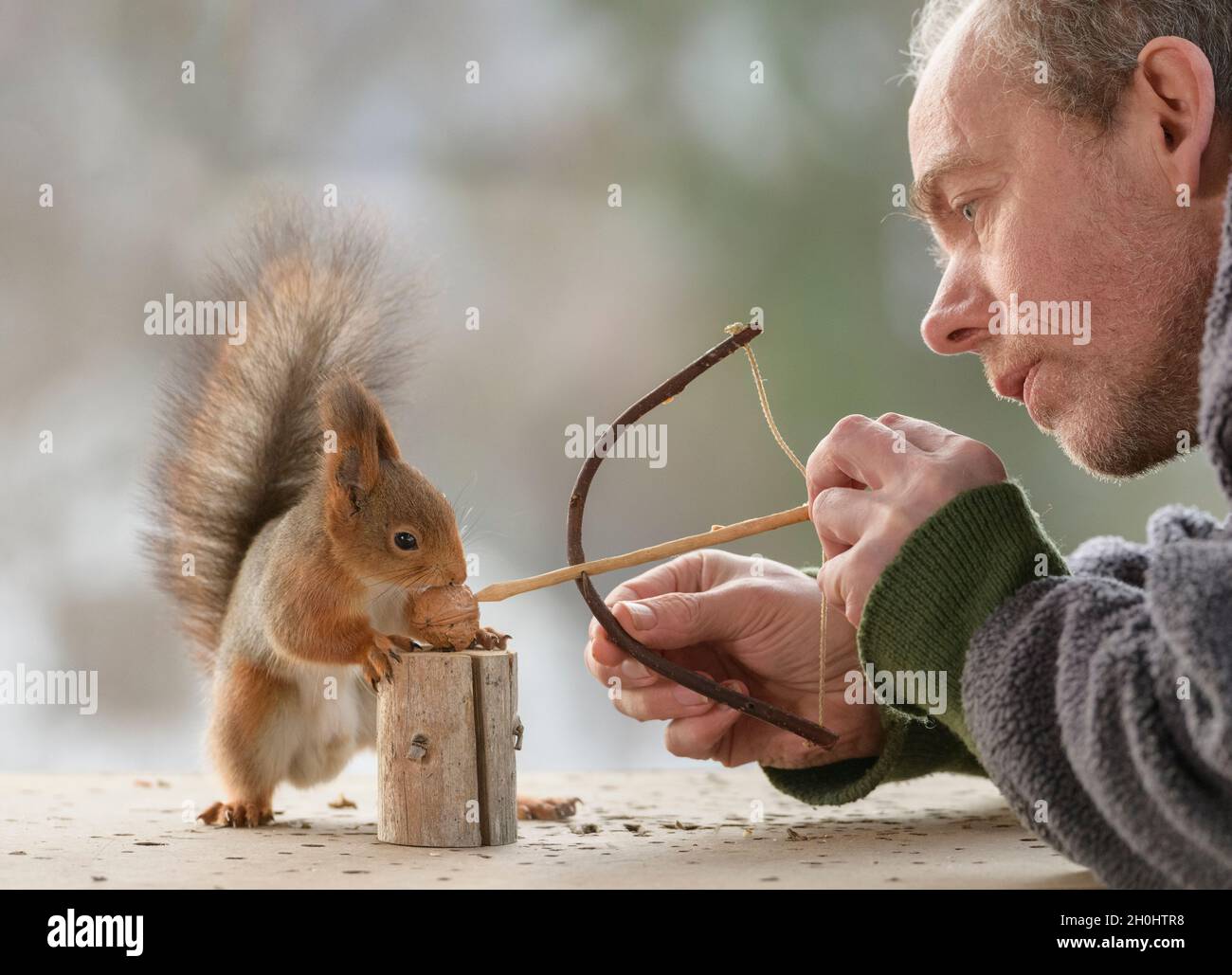 Squirrel and arrow hi-res stock photography and images - Alamy