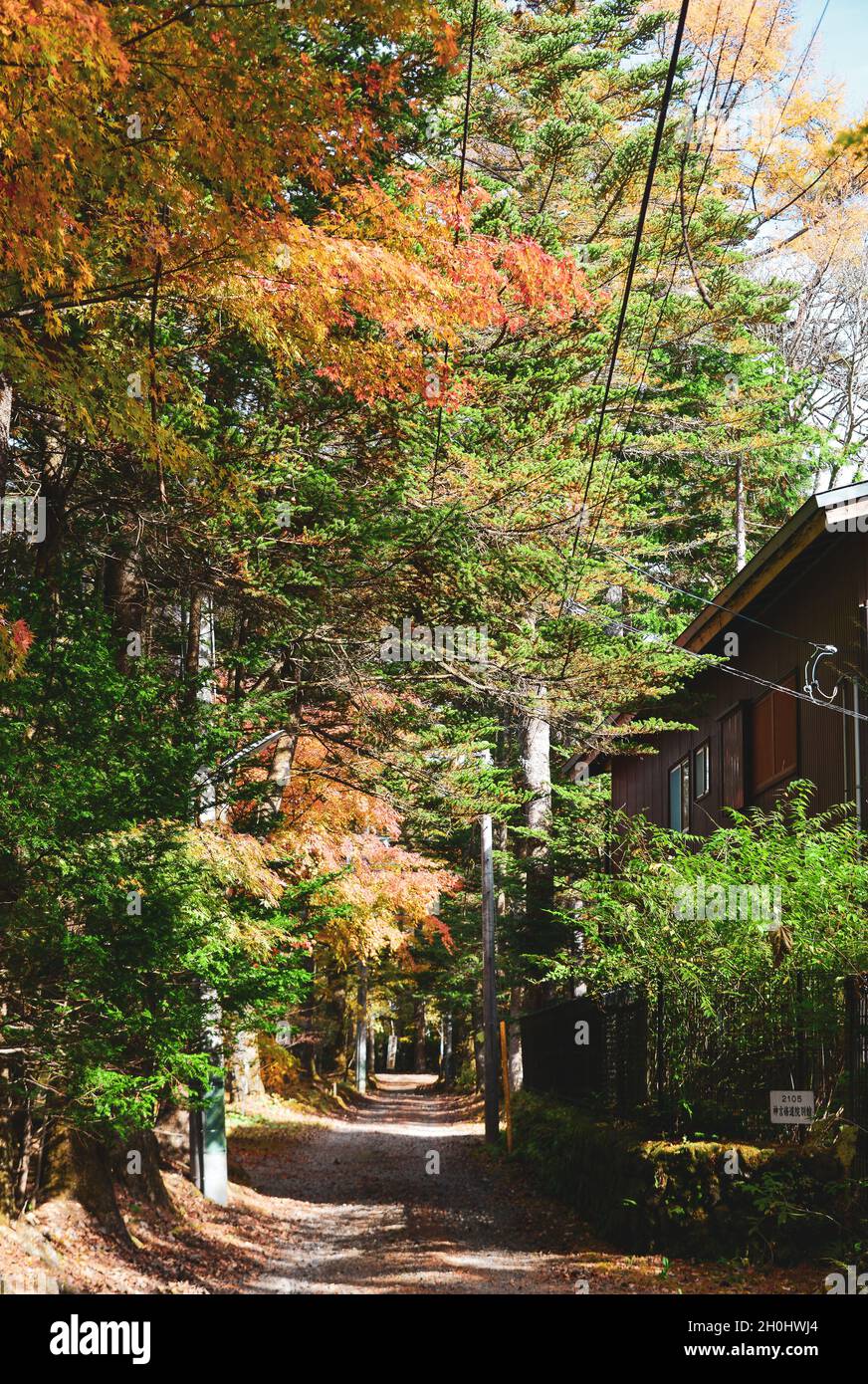 Beautiful countryside autumn scene in Karuizawa, Japan. Karuizawa is an upmarket mountain resort ...